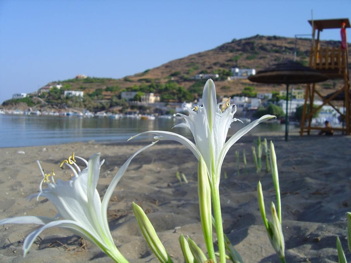 kini-beach – Loukia Studios & Suites Kini, Syros